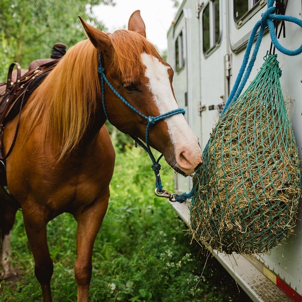 Feeding By The Flake – NAG Bags