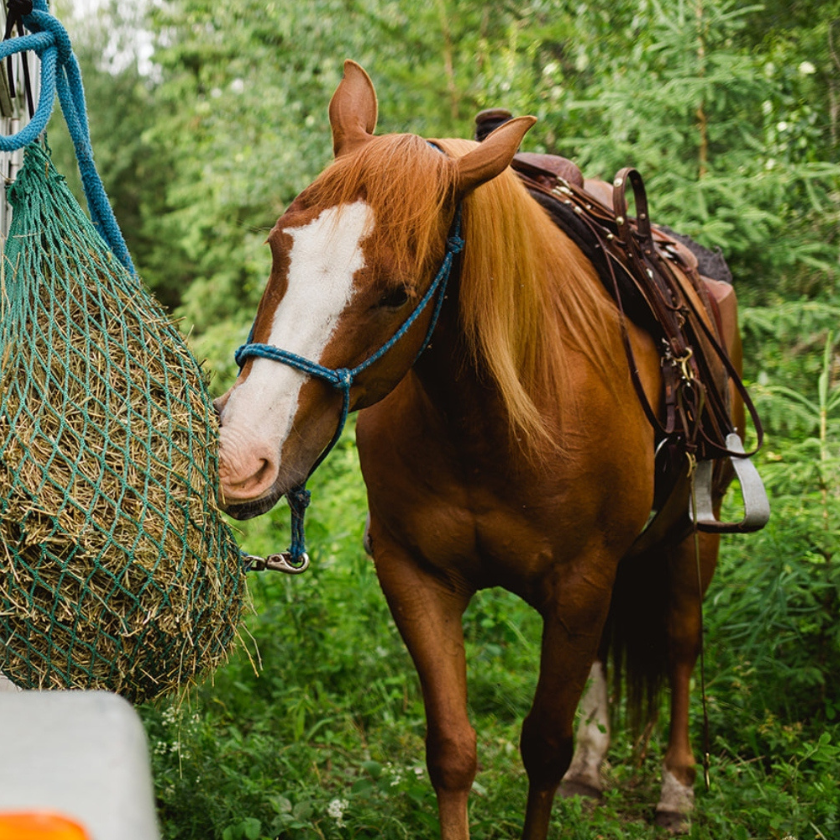 Summer Essentials – NAG Bags