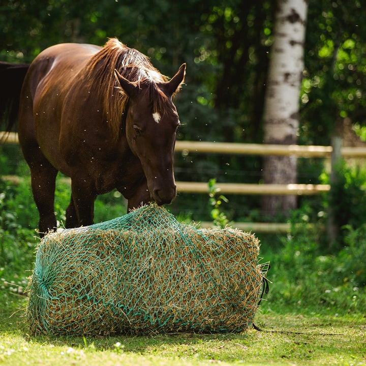 Large Hay Bale Feeders with Netting – NAG Bags