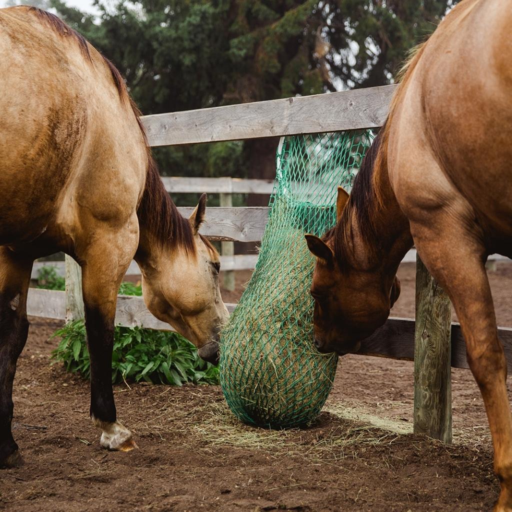 EZ Fill – NAG Bags