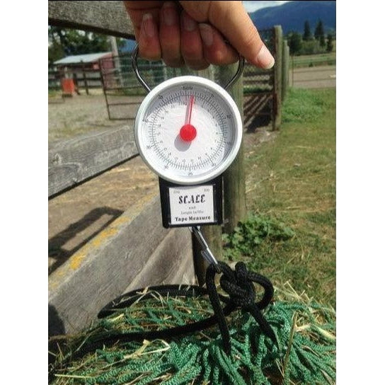 Global Hanging Scale – NAG Bags