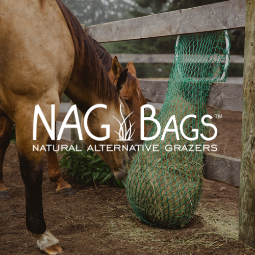 Our Netting – NAG Bags